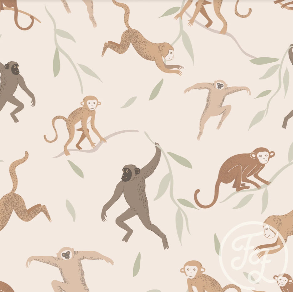 Monkeys – Little Things Aruba